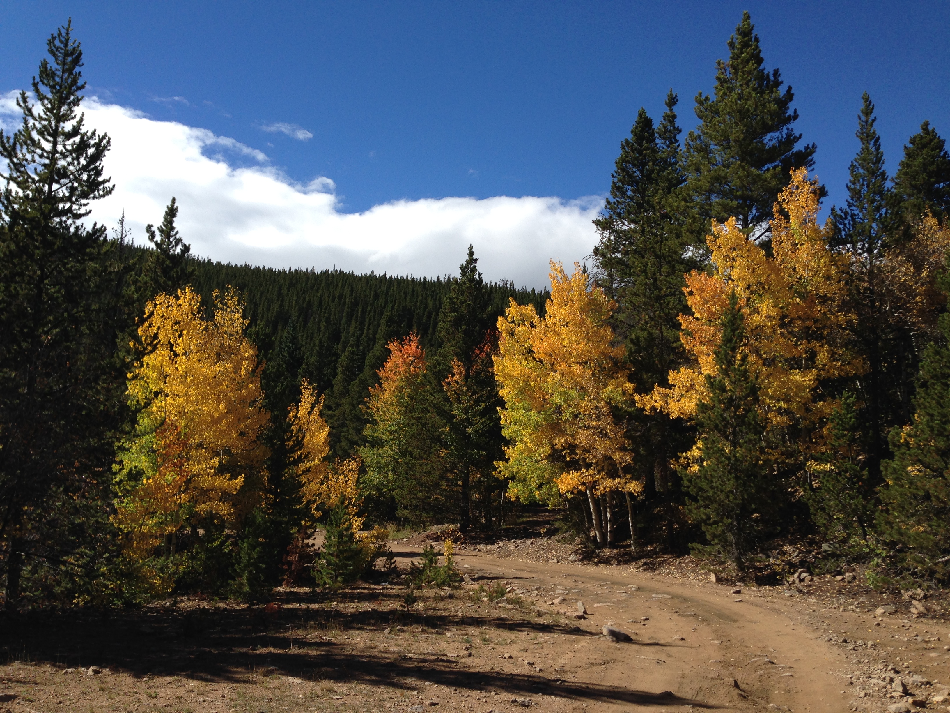 Explore the Historic Railroad Route up Rollins Pass, Nederland, Colorado