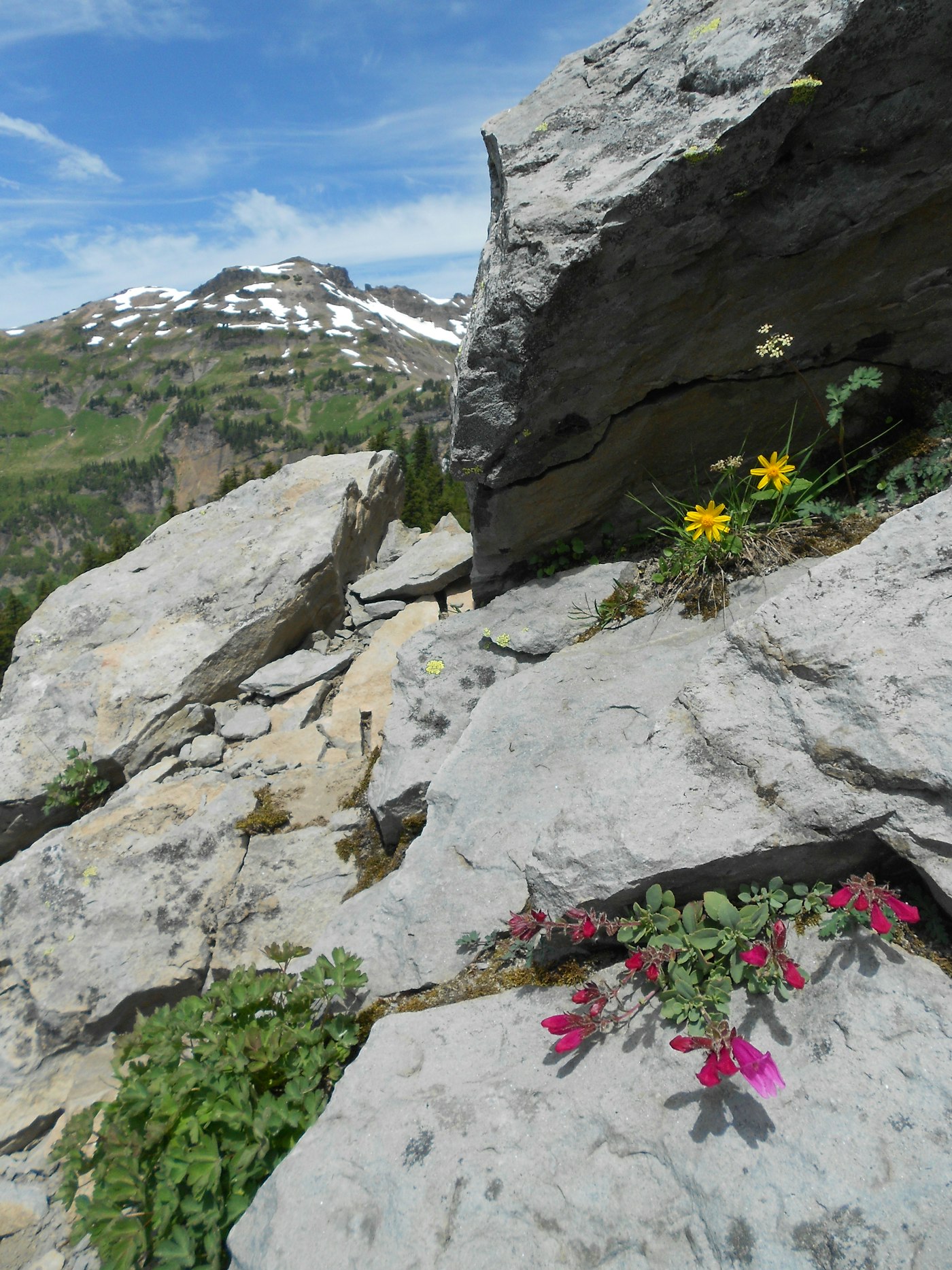 Photo of Goat Rocks Wilderness