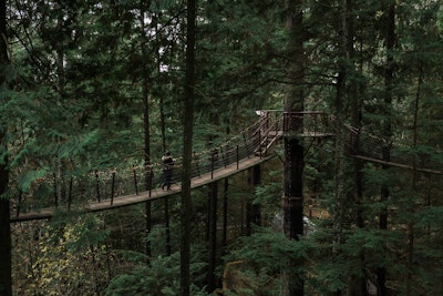 Explore the Capilano Suspension Bridge, Capilano Suspension Bridge