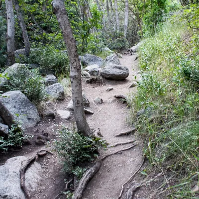 Explore Little Cottonwood Canyon's Lisa Falls, Lisa Falls