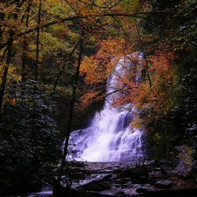 Hike to Cascade Falls, Cascade Falls Trailhead, VA