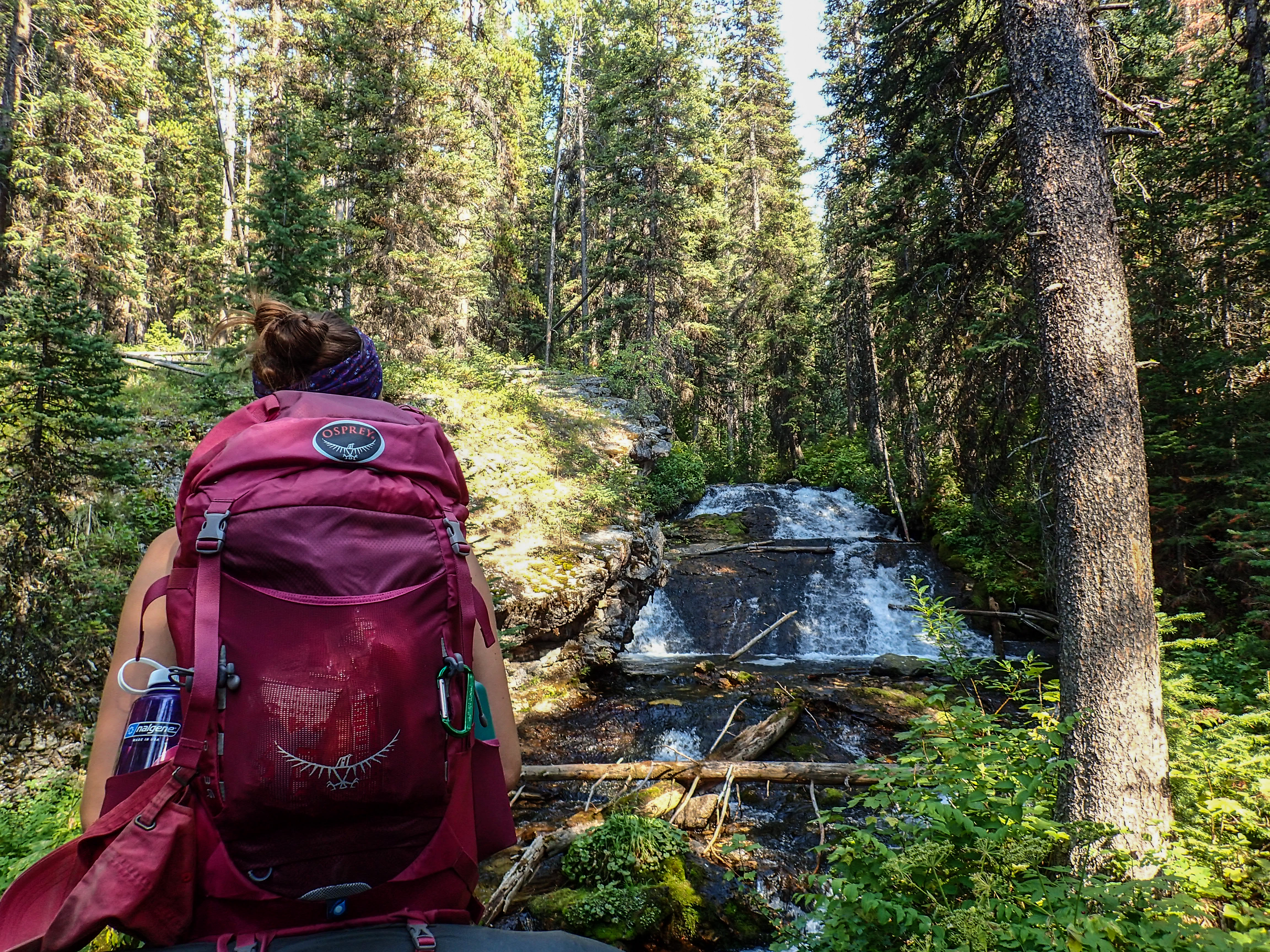 Photo of Hike the Johnson Lake Loop