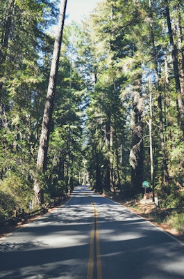 Hike the Ocean View Summit Loop, Big Basin Headquarters