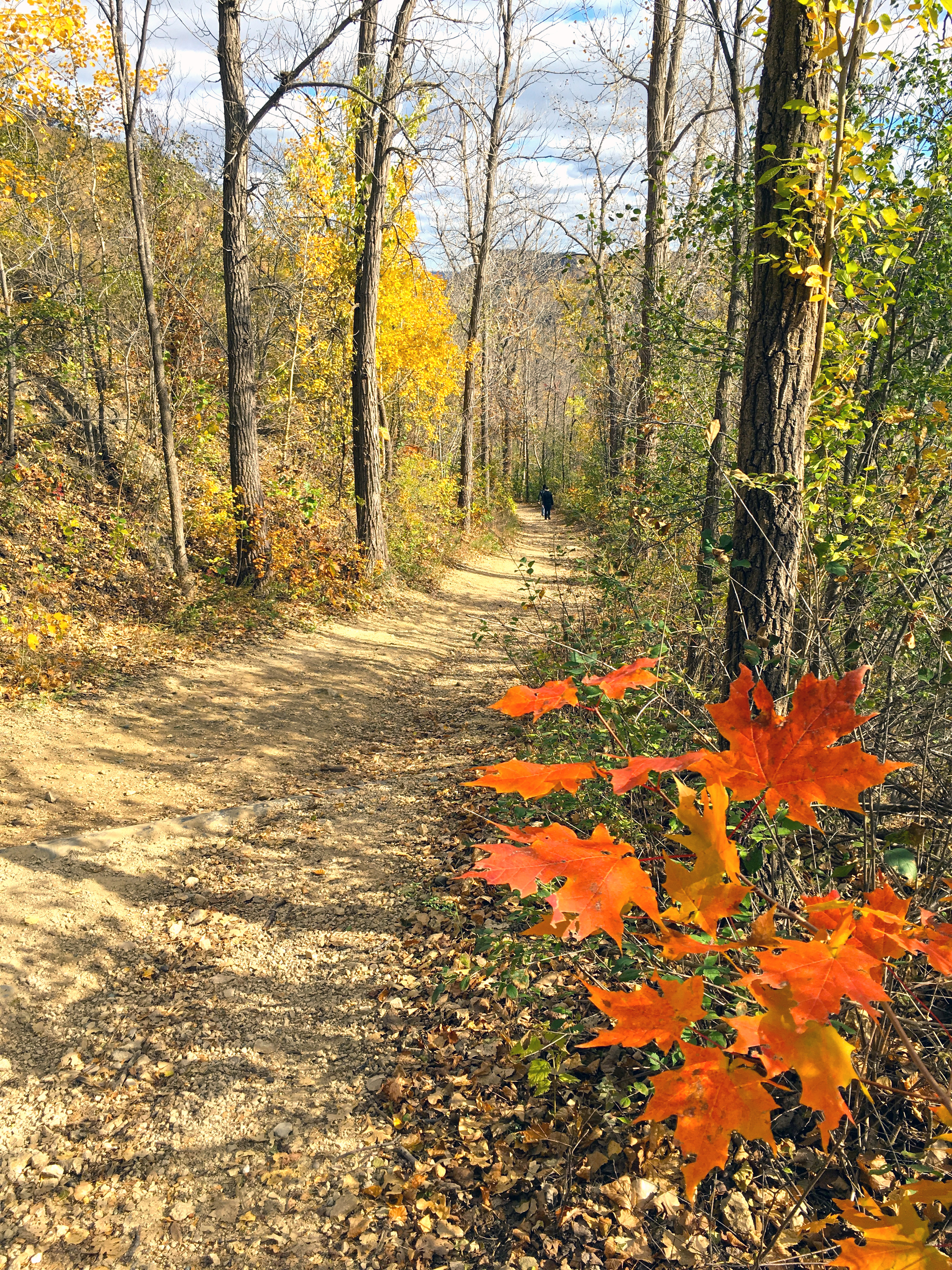 Photos: Hike Barn Bluff, Red Wing, Minnesota