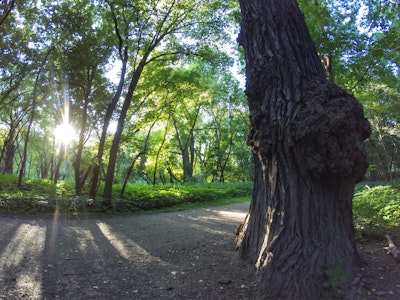 Hike the Pike Island Loop, Pike Island Loop