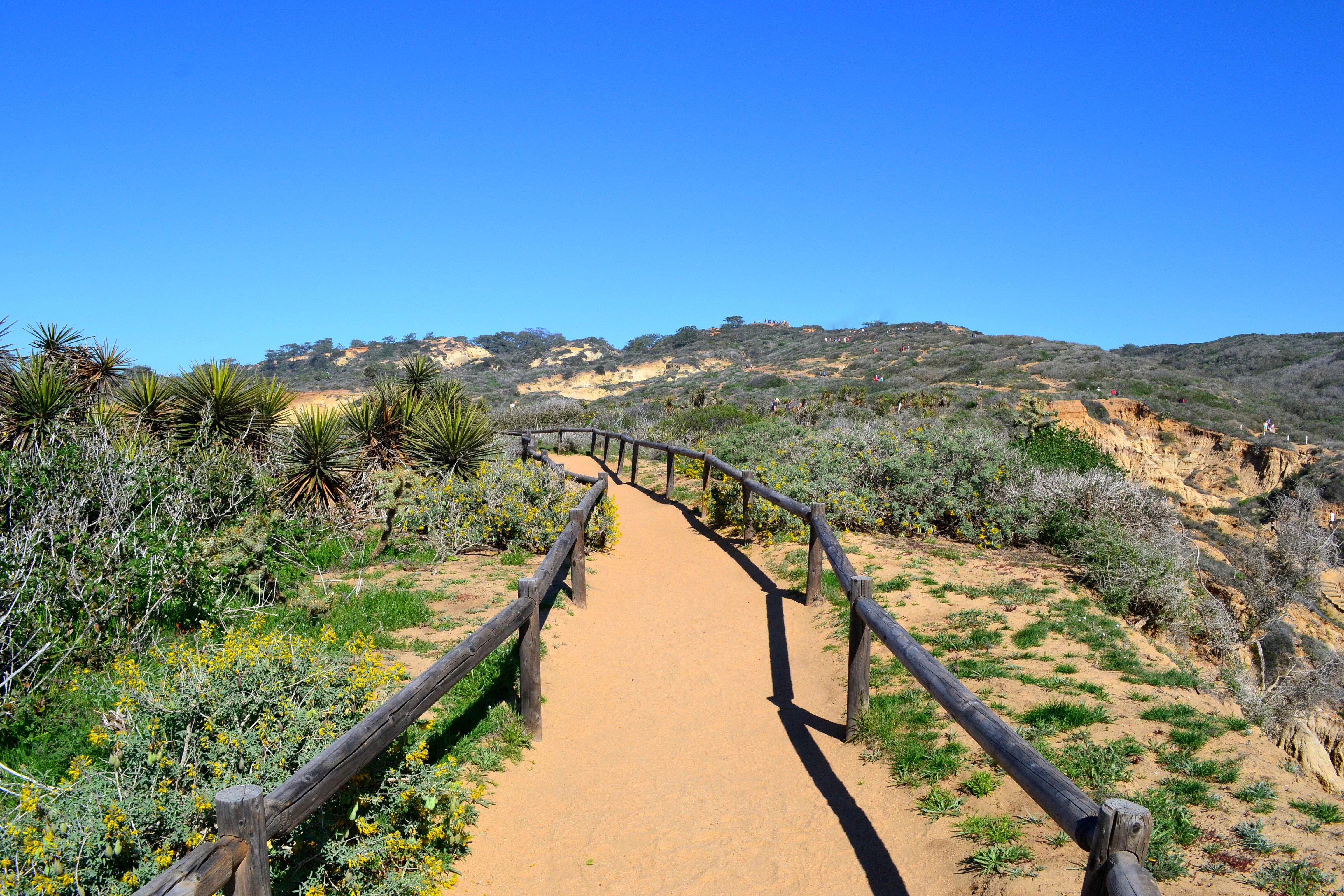 Razor Point, Beach Trail, & Broken Hill Trail Loop, San Diego, California