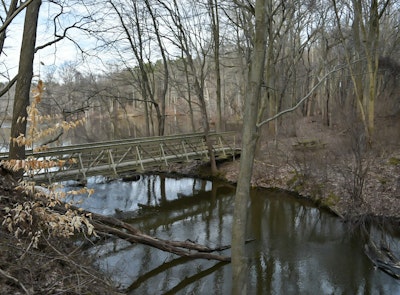 Hike the Swamp Forest Trail, Swamp Forest Trail