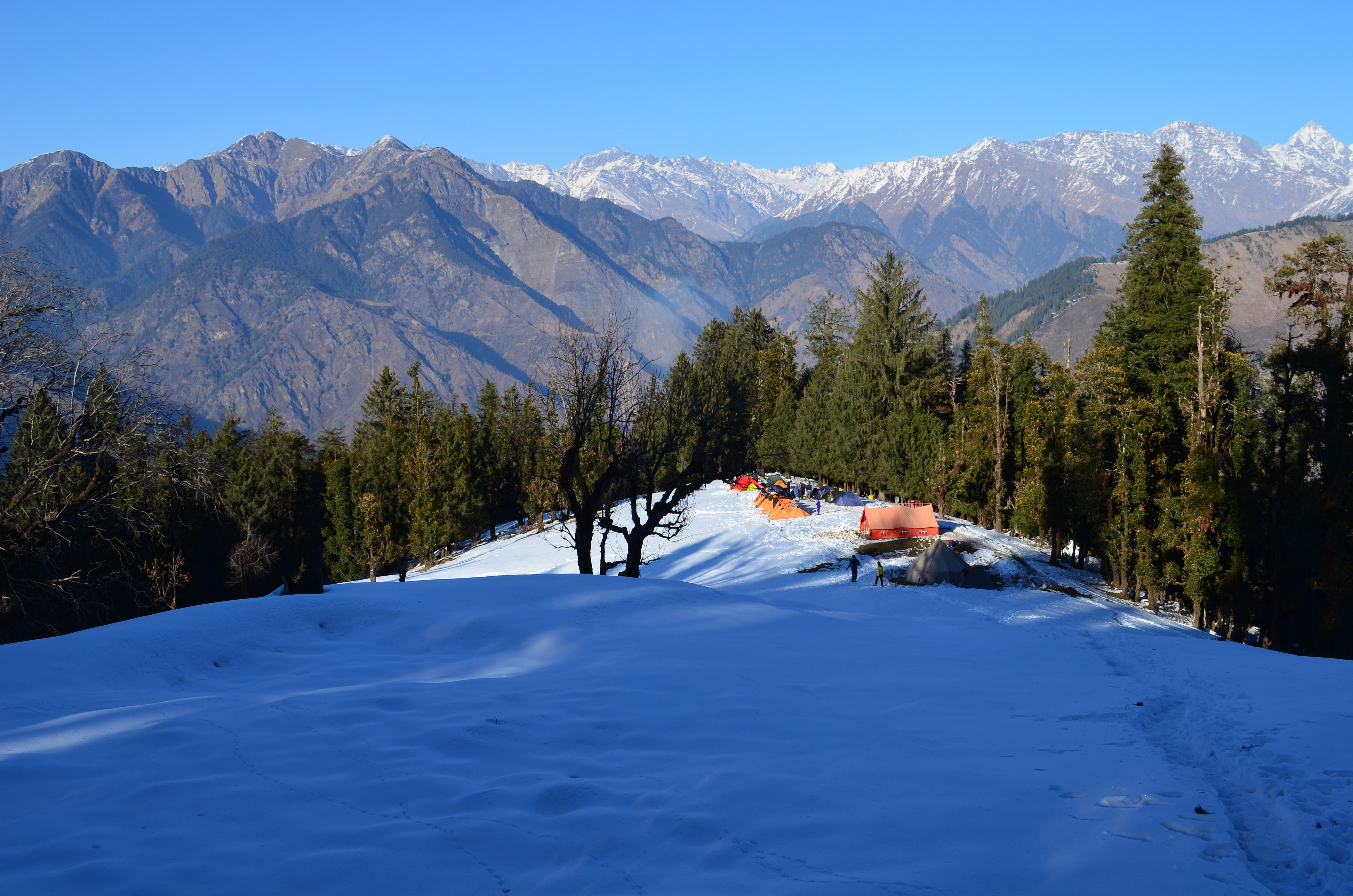 Winter Trek to Kedarkantha Summit, Sidri, India