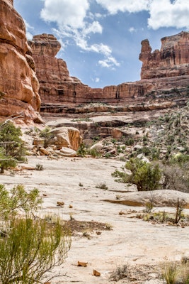 Backpack Great Gulch: Kane Gulch to Bullet Canyon , Kane Gulch Trailhead