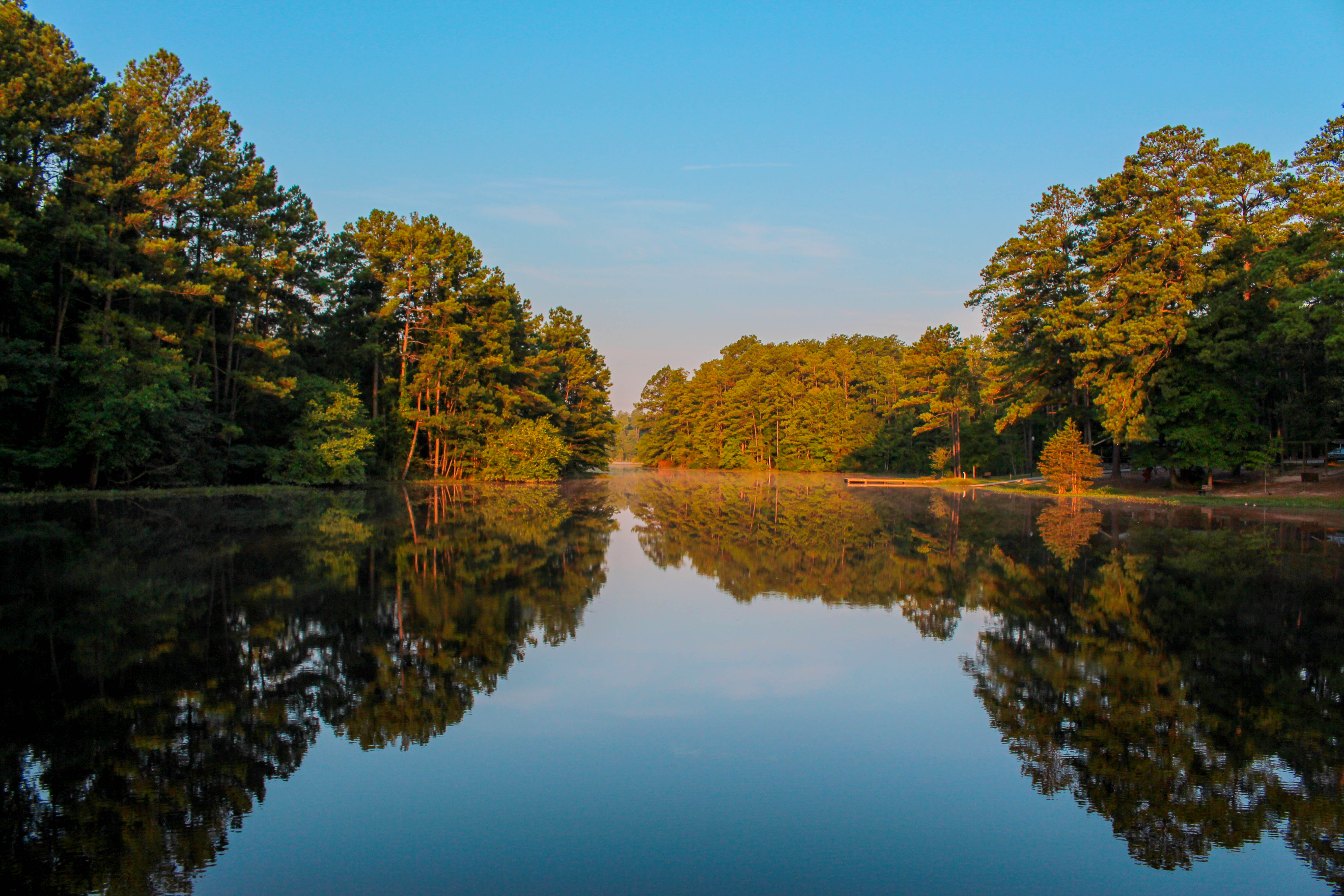 Explore Gibson Pond Park, Lexington, South Carolina