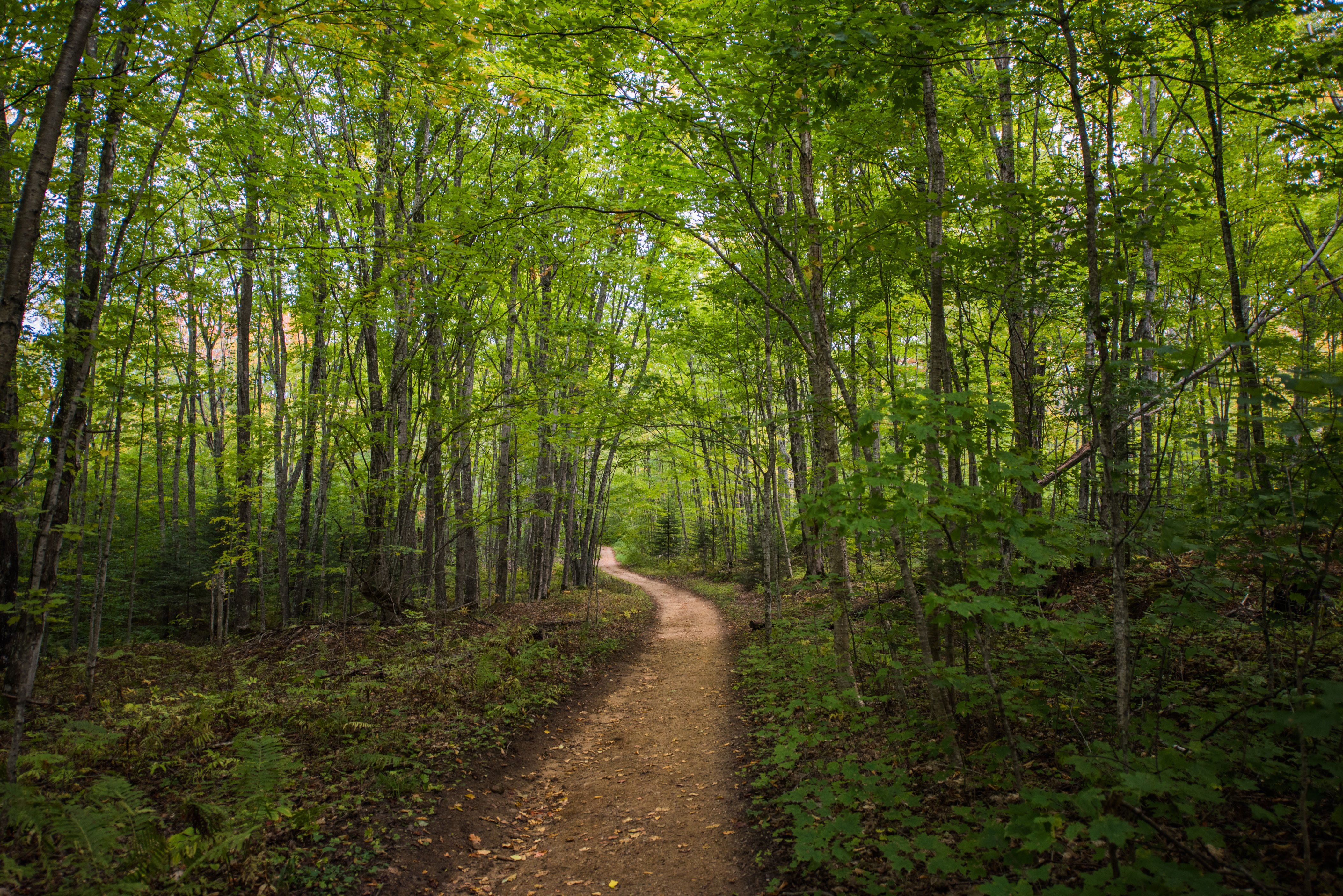Chapel Falls & Mosquito Beach Loop Trail, Shingleton, Michigan