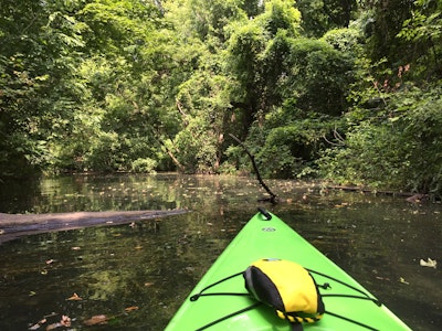 Kayak to Peche Island , Sand Point Beach