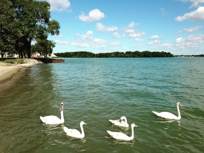 Kayak to Peche Island , Sand Point Beach
