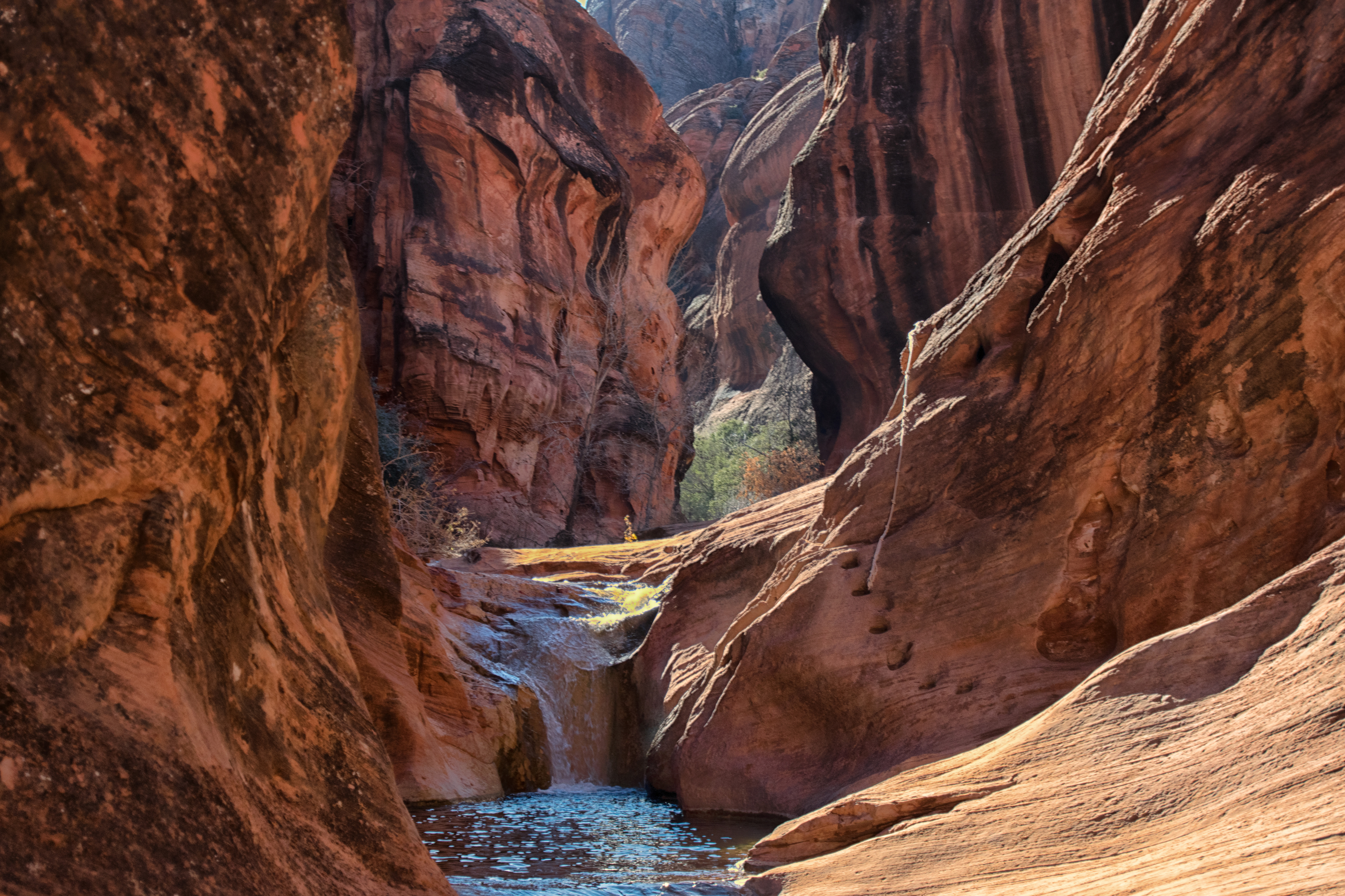 Photo of Red Cliffs Recreation Nature Trail