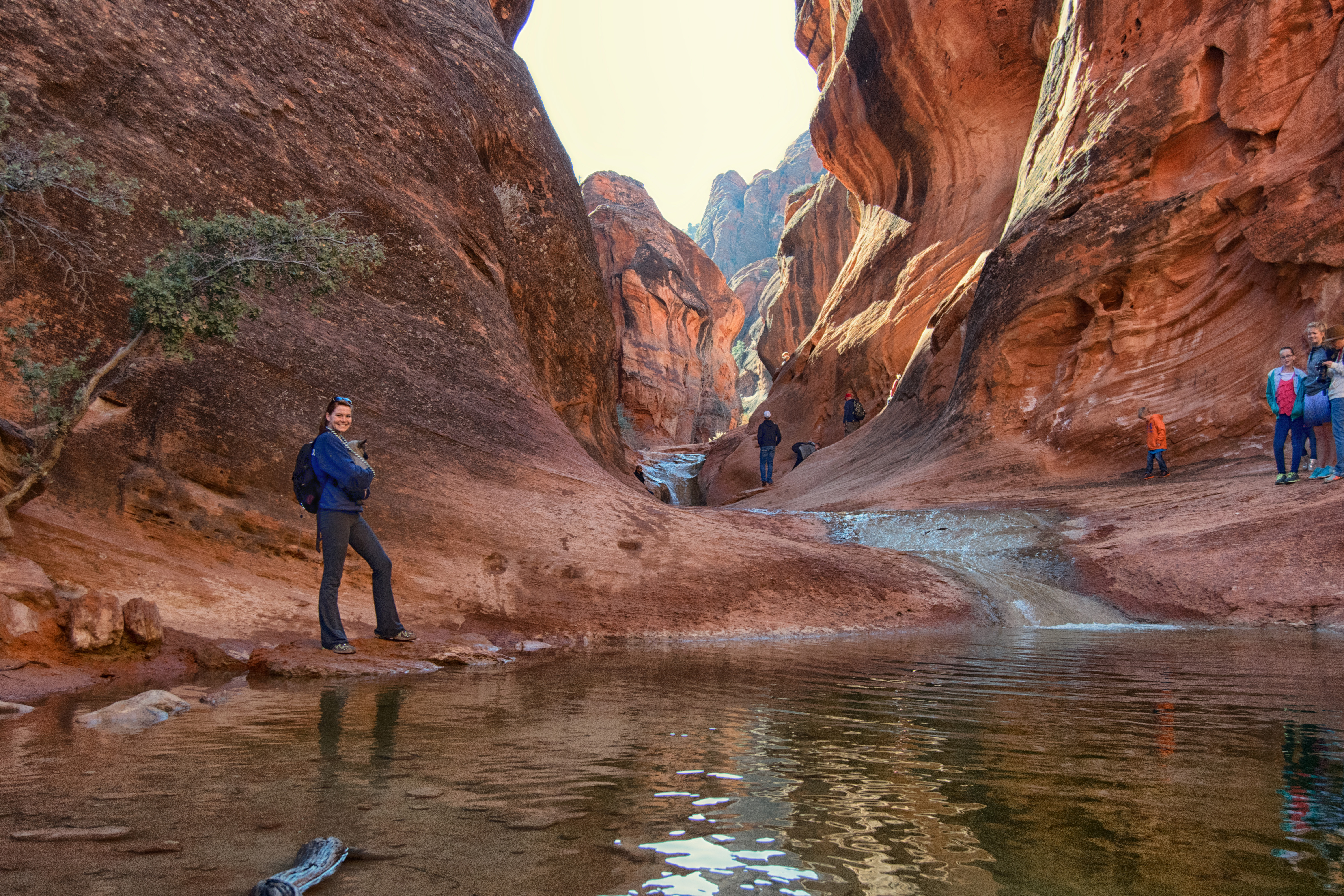 Photos: Red Cliffs Recreation Nature Trail, Hurricane, Utah