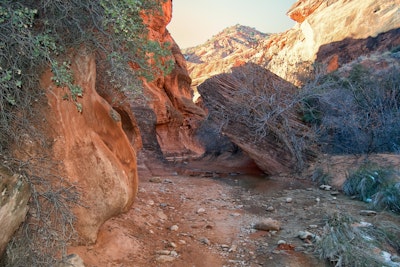 Hike the Red Cliffs Recreation Nature Trail, Red Cliffs Parking Area
