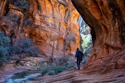 Hike the Red Cliffs Recreation Nature Trail, Red Cliffs Parking Area