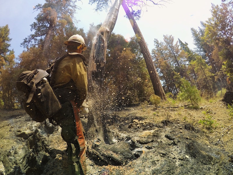 5 Tips For Landing A Job As A Wildland Firefighter