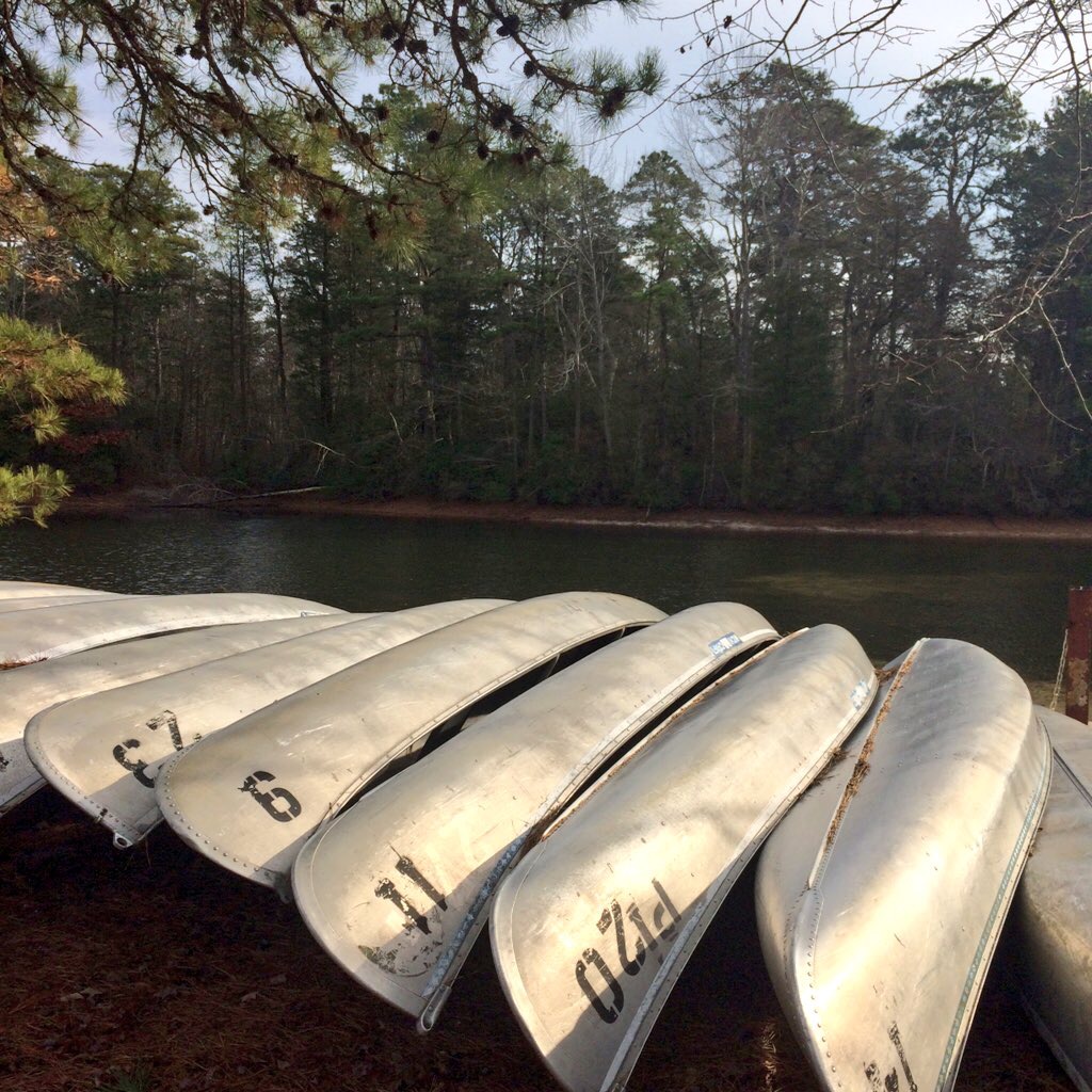 Camp at Belleplain State Forest , Woodbine, New Jersey