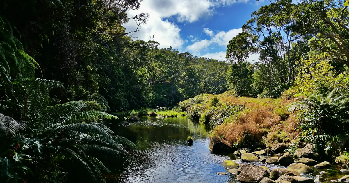 Hike Kawaikoi Stream, Kawaikoi Stream Trailhead