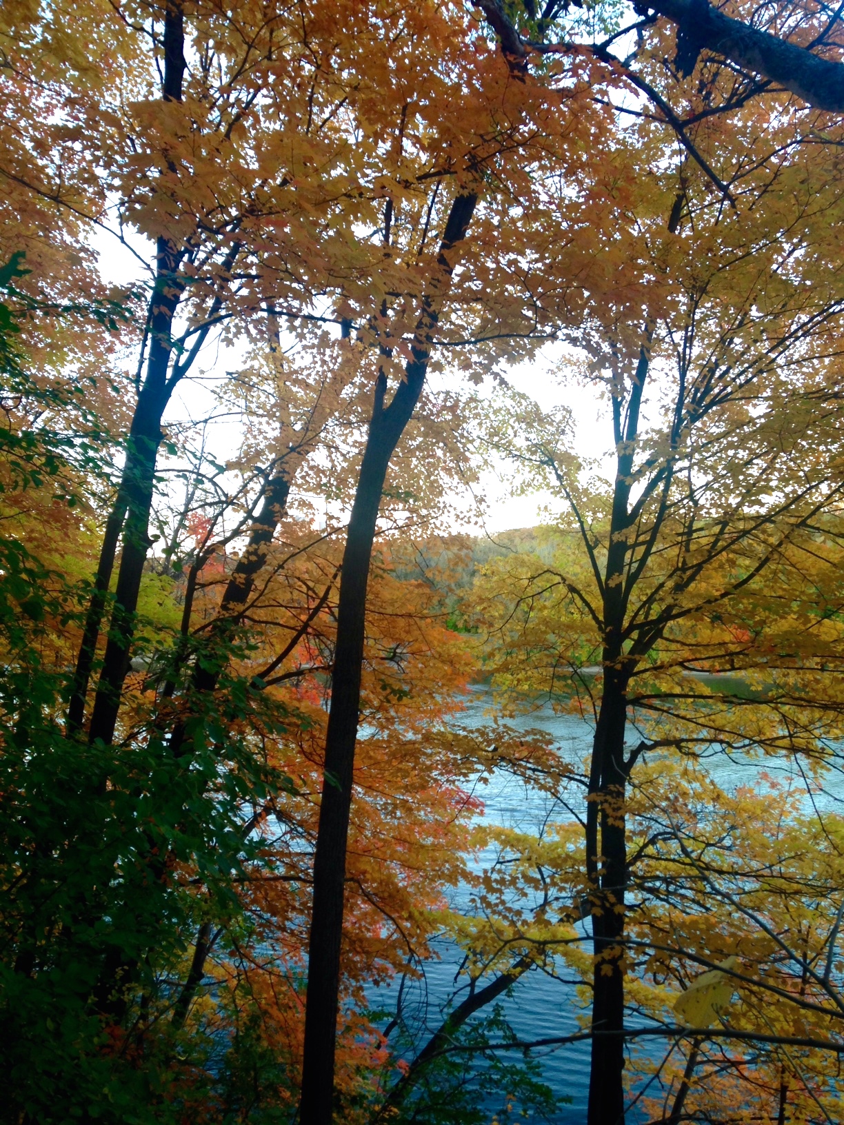 Hike the Winchell Trail , Minneapolis, Minnesota