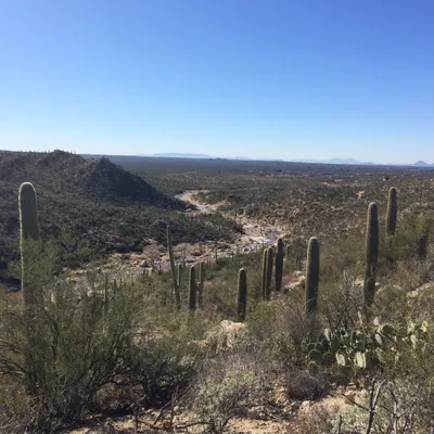 Hike to Tanque Verde Falls , Lower Tanque Verde Falls Trailhead