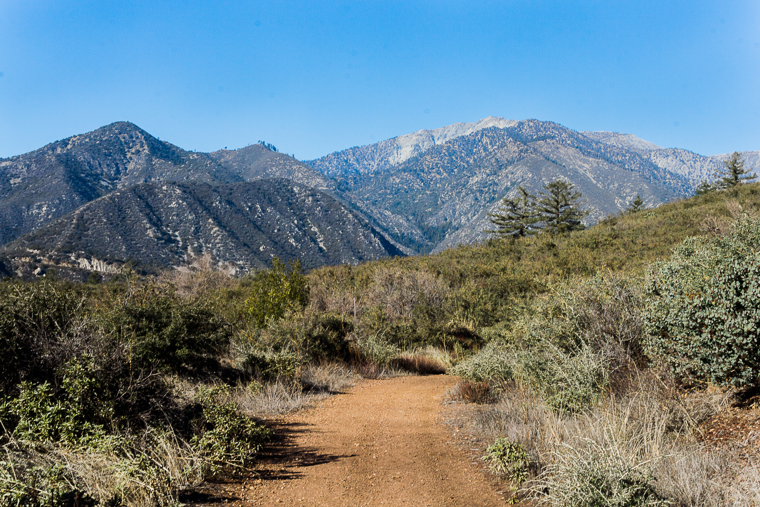 Stoddard Peak Trail, Claremont, California