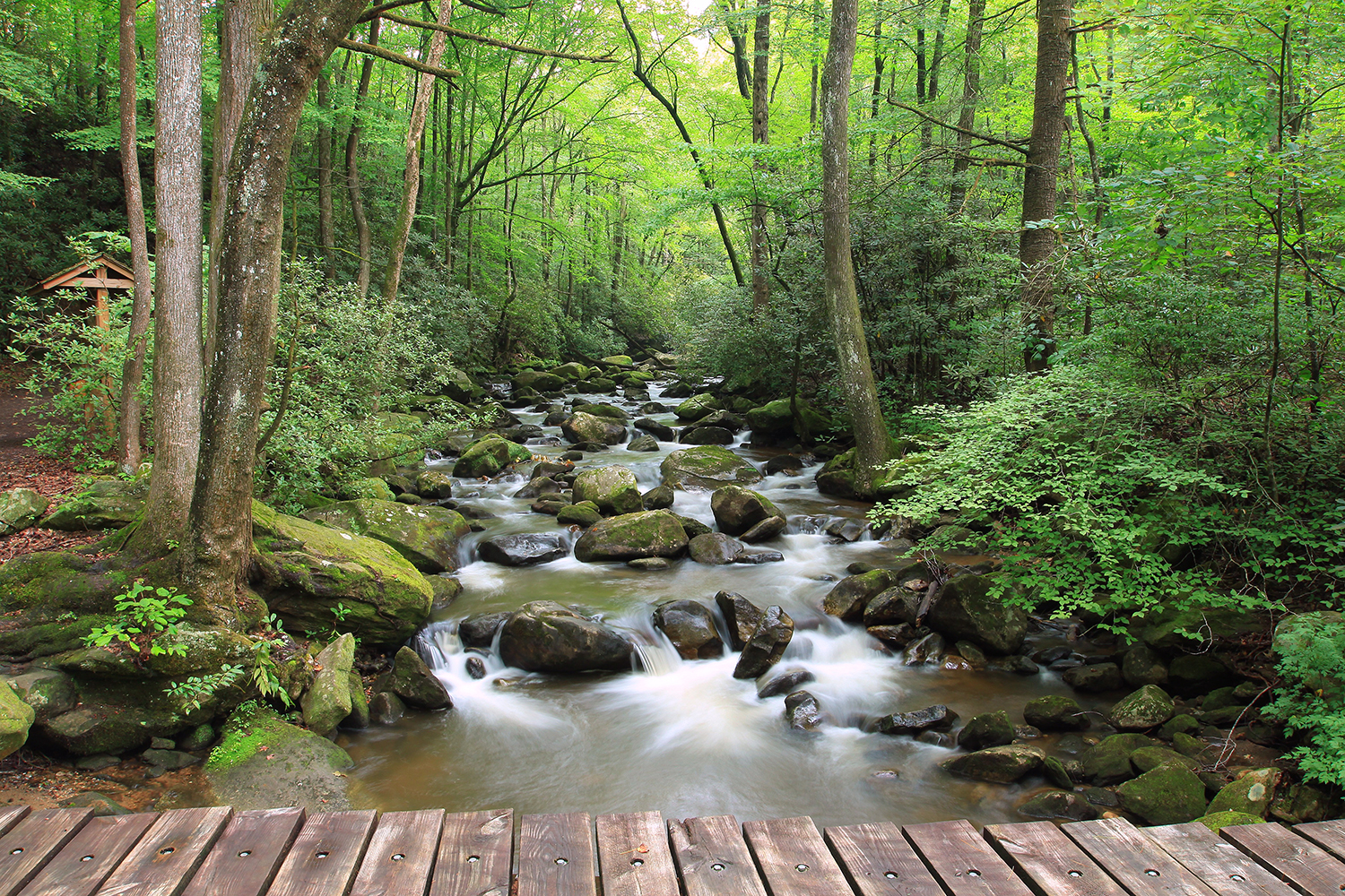 Hike the Jones Gap Loop, Greenville County, South Carolina