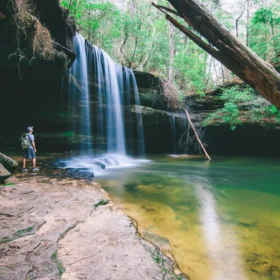 Hike to Upper Caney Creek Falls, Caney Creek Falls Trailhead
