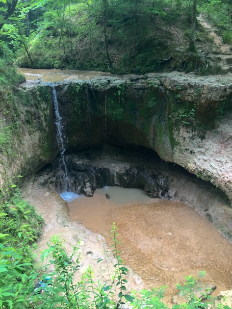 Hike the Clark Creek Primitive Trail, Woodville, Mississippi