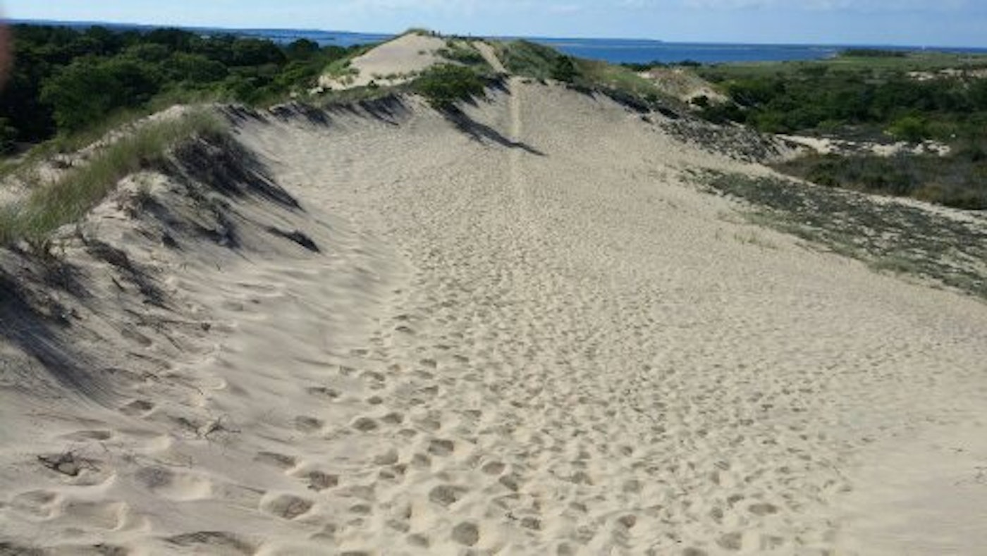 Photo of Hither Hills State Park