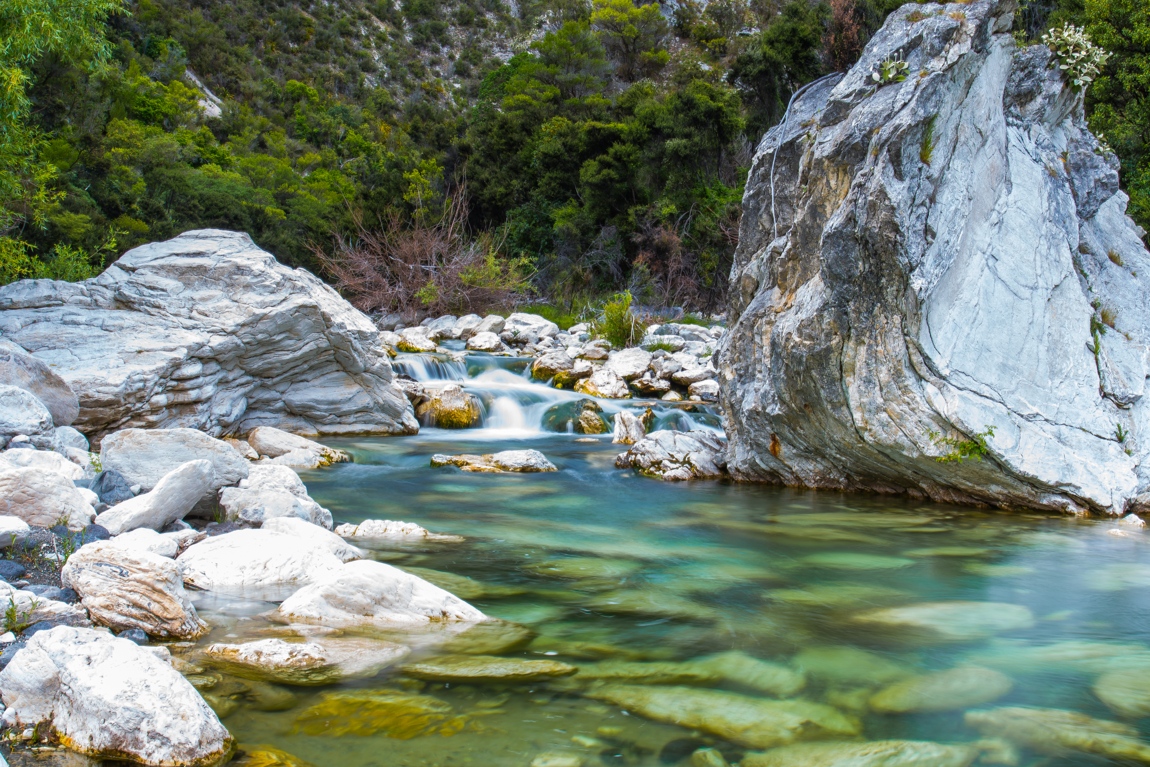 The best Camping in and near Ward, New Zealand