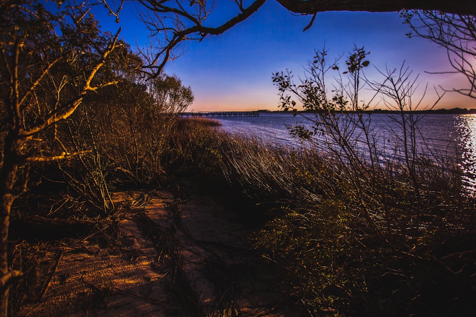 Camp at Freeman Park (Carolina Beach), Freeman Park