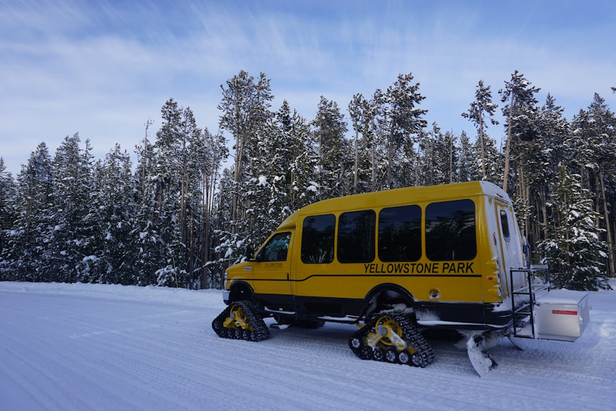 5 Reasons Why You Should Explore Yellowstone National Park In Winter