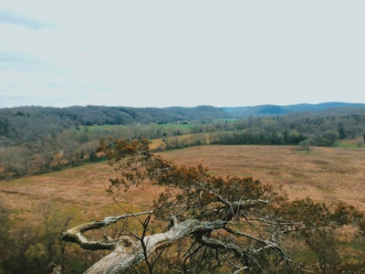Hike the Bluff Overlook Trail, Harpeth River State Park