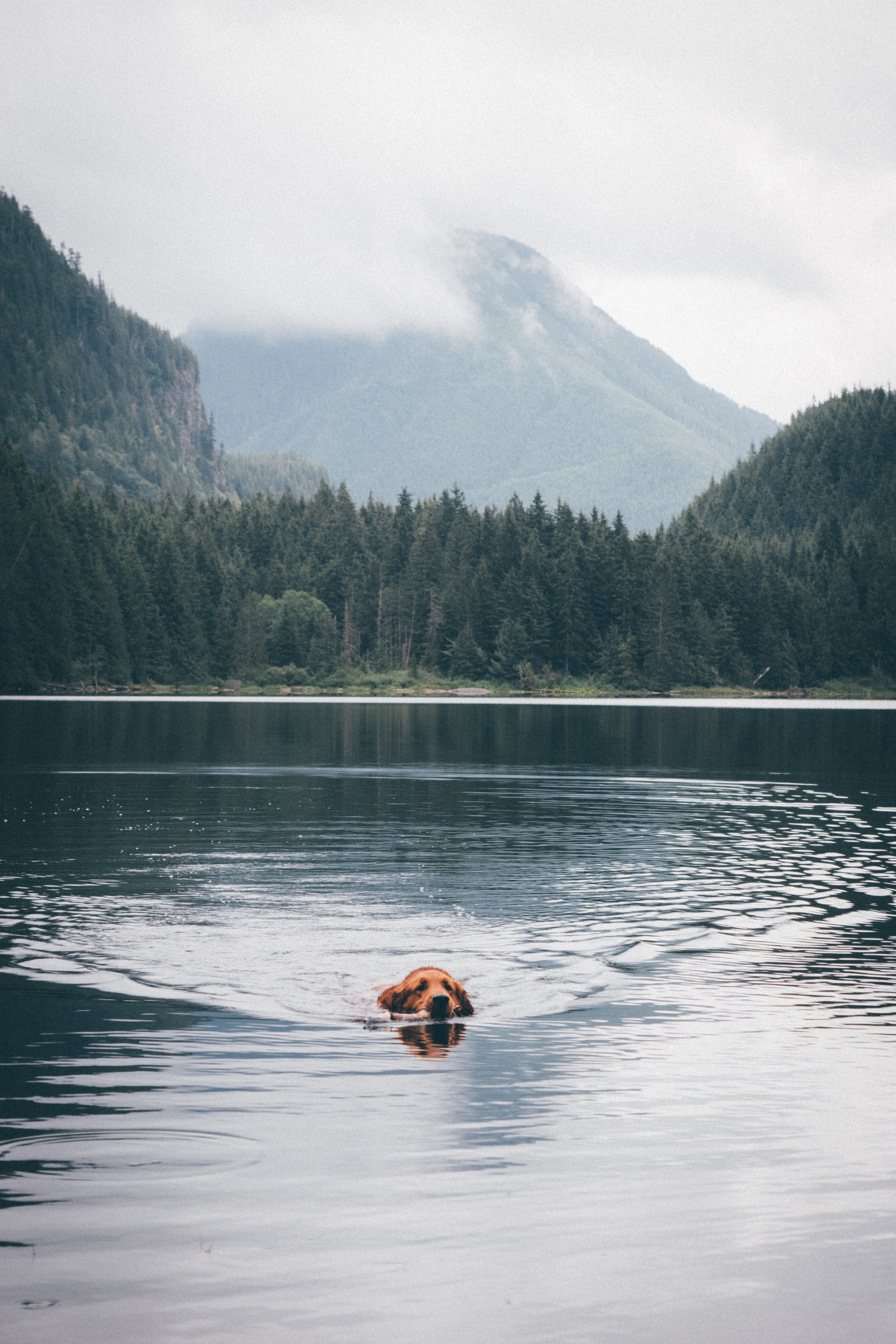 Hike to Wallace Lake via Greg Ball Trail, Gold Bar, Washington