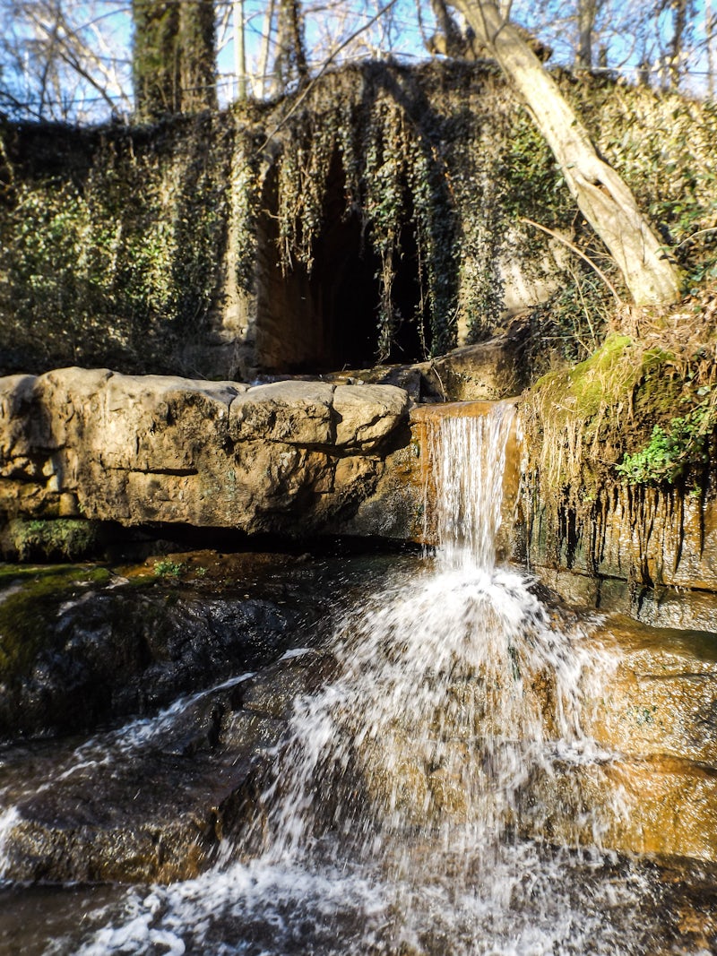 Photo of Cascade Springs Trail