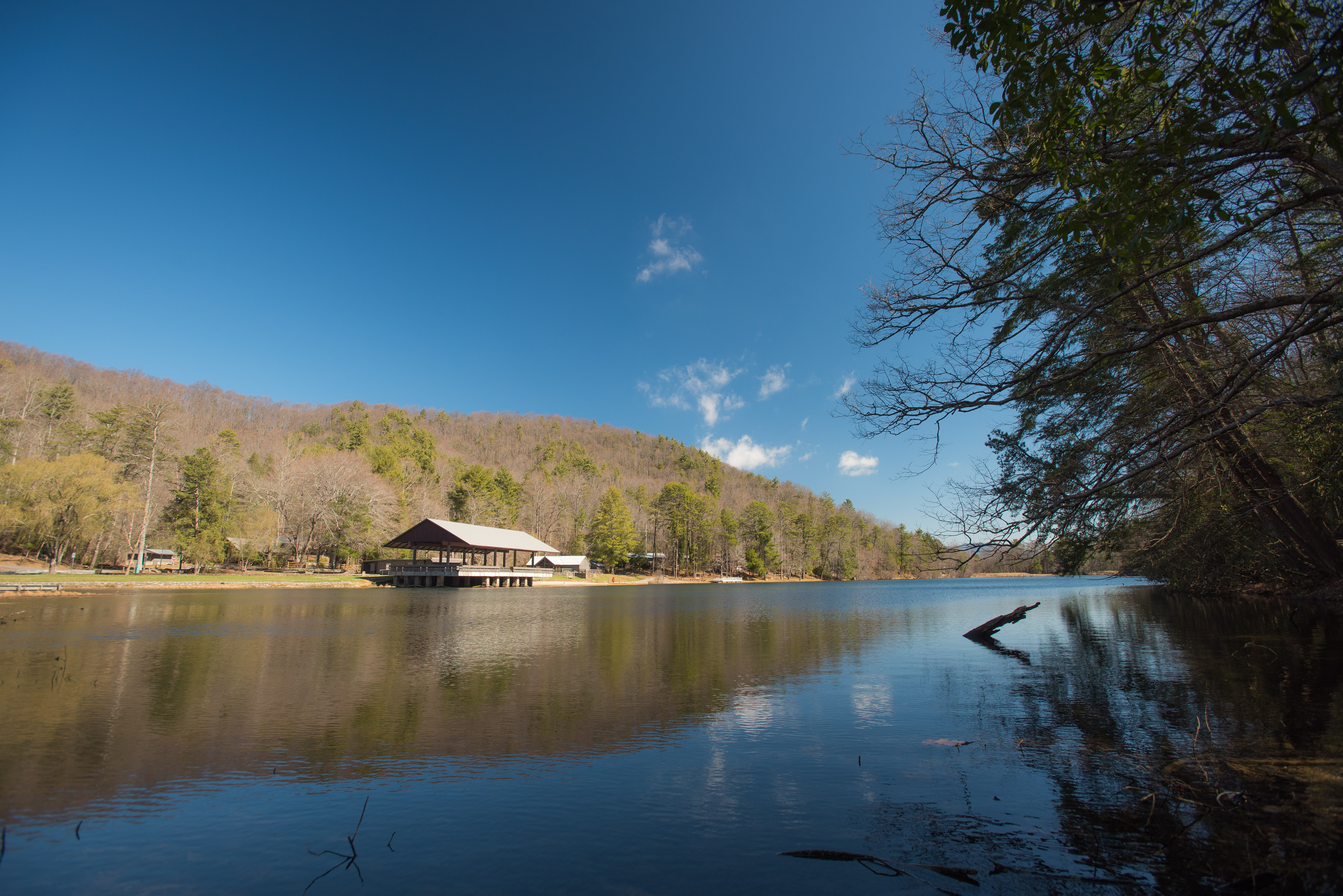 Camp at Vogel State Park, Blairsville, Georgia