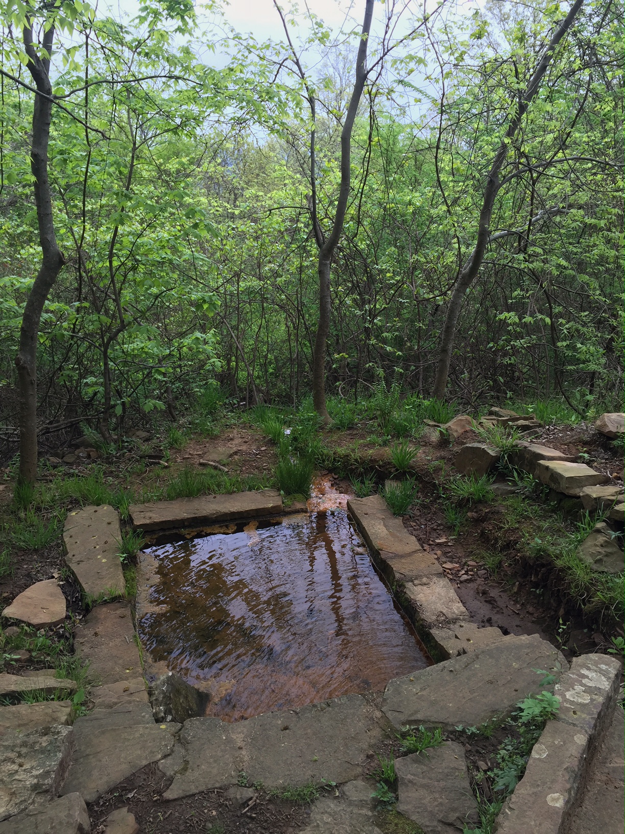 Photo of Backpack the Horsethief Springs Trail