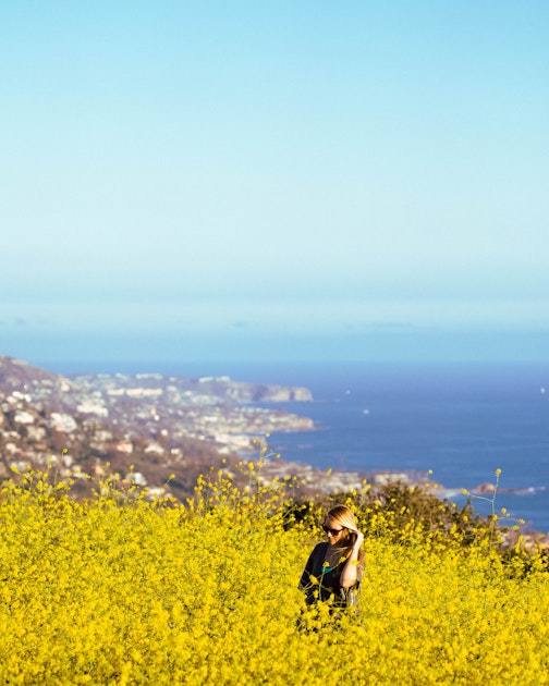 Hike the Water Tank Trail, Water Tank Road