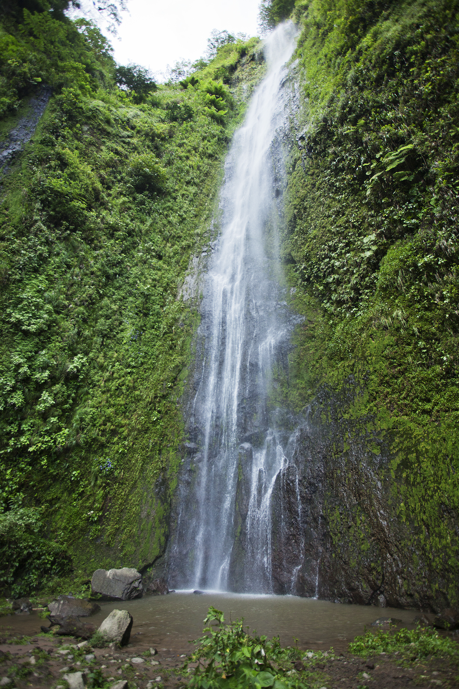 Hike to San Ramon Waterfall on Ometepe Island, NN-226, Nicaragua