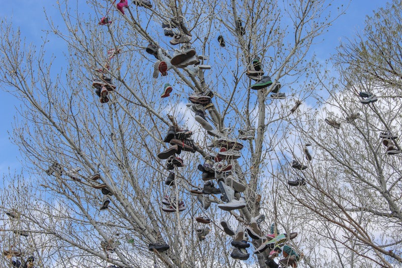 Photo of Visit the Shoe Tree of Middlegate