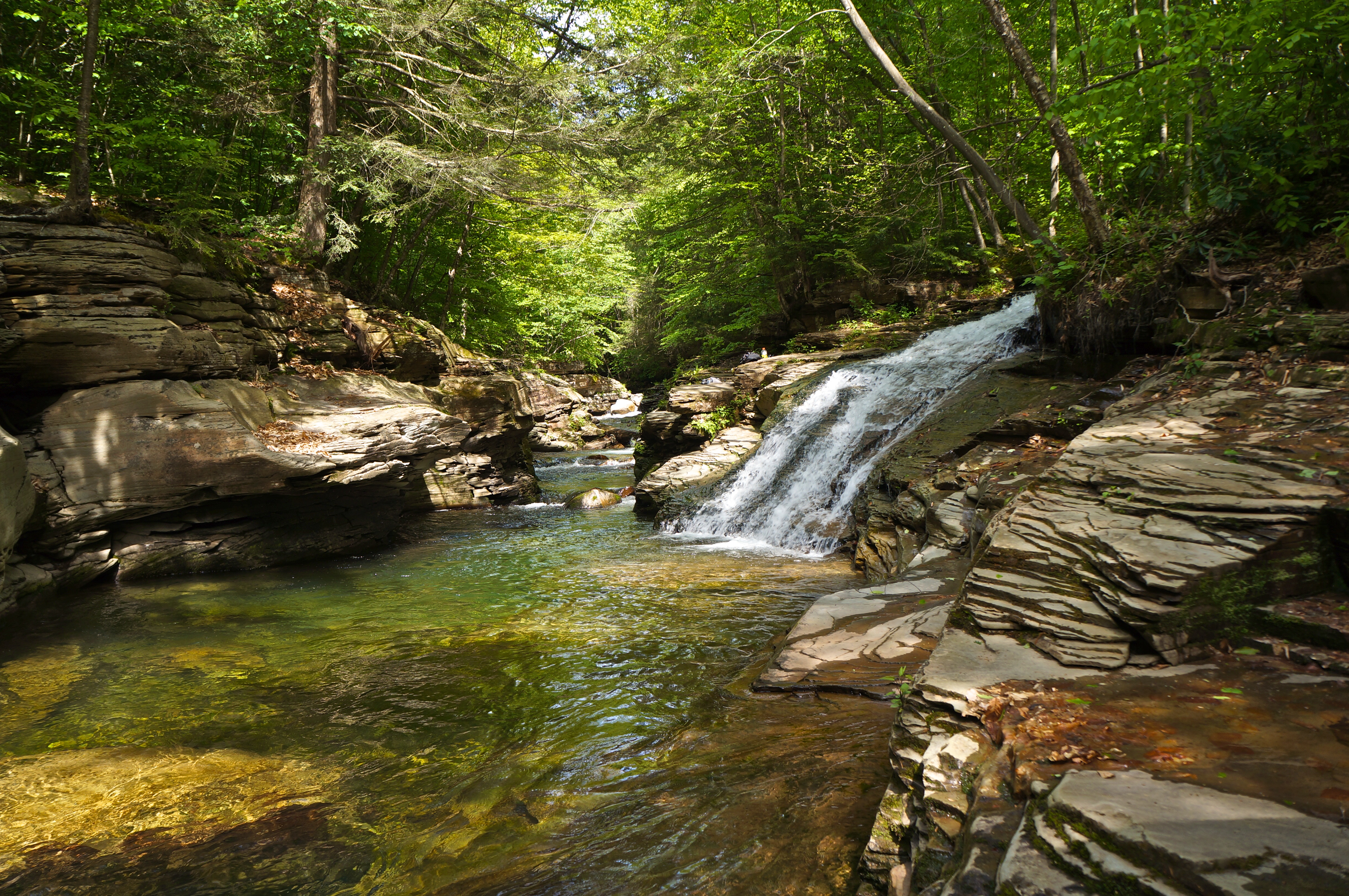 Backpack the Old Logger's Path, Williamsport, Pennsylvania