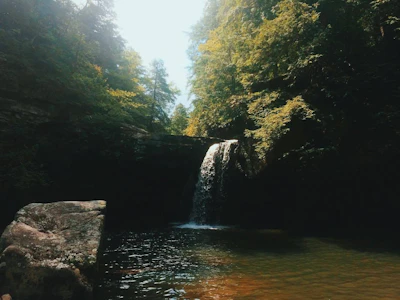 Hike to Savage Falls, Savage Gulf Ranger Station