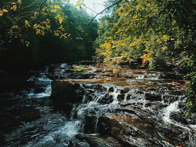 Hike to Savage Falls, Savage Gulf Ranger Station