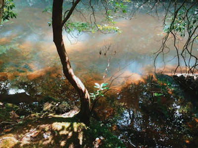 Hike to Savage Falls, Savage Gulf Ranger Station