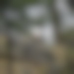 Hike to Pacheta Falls, Pacheta Falls Approach #1