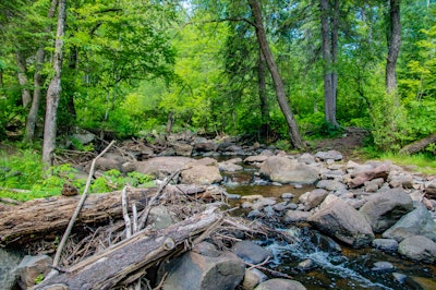 Hike the Chester Creek Trail, Chester Creek Trail