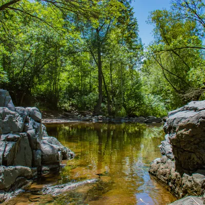 Hike the Chester Creek Trail, Chester Creek Trail