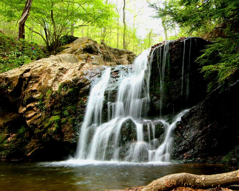 Hike the Cascade Falls and Rootball Loop Trail, Cascade Falls and ...